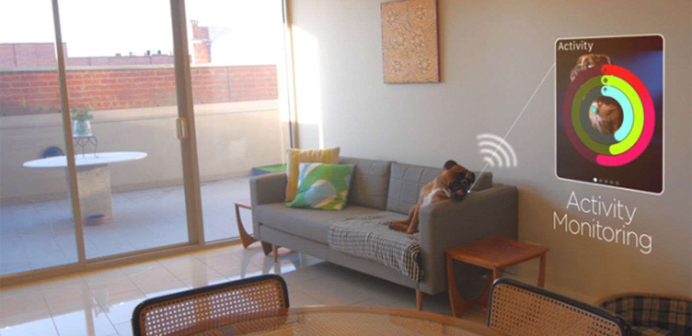 「Apple Watch」 狗脖子上的，助你智能養狗 | XFastest News