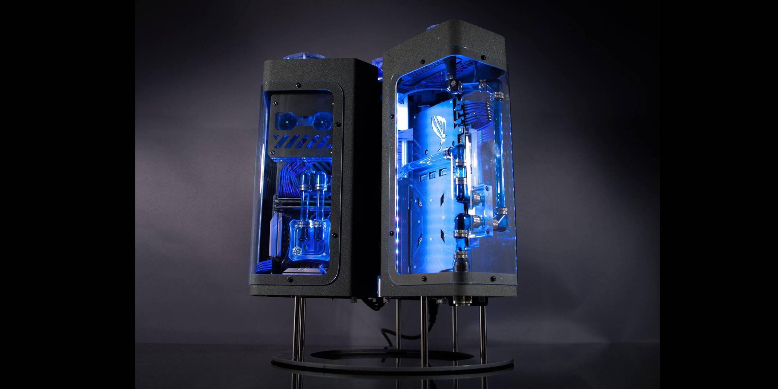 Iris | XFastest News