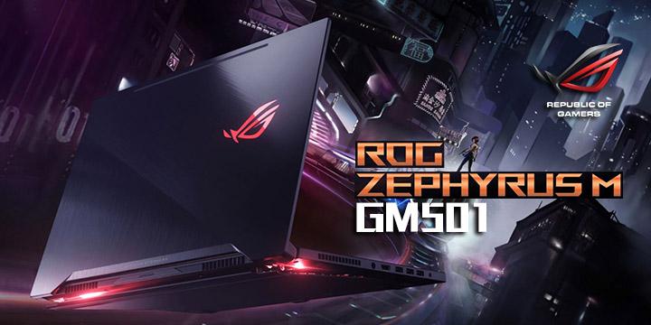 GM501 | XFastest News