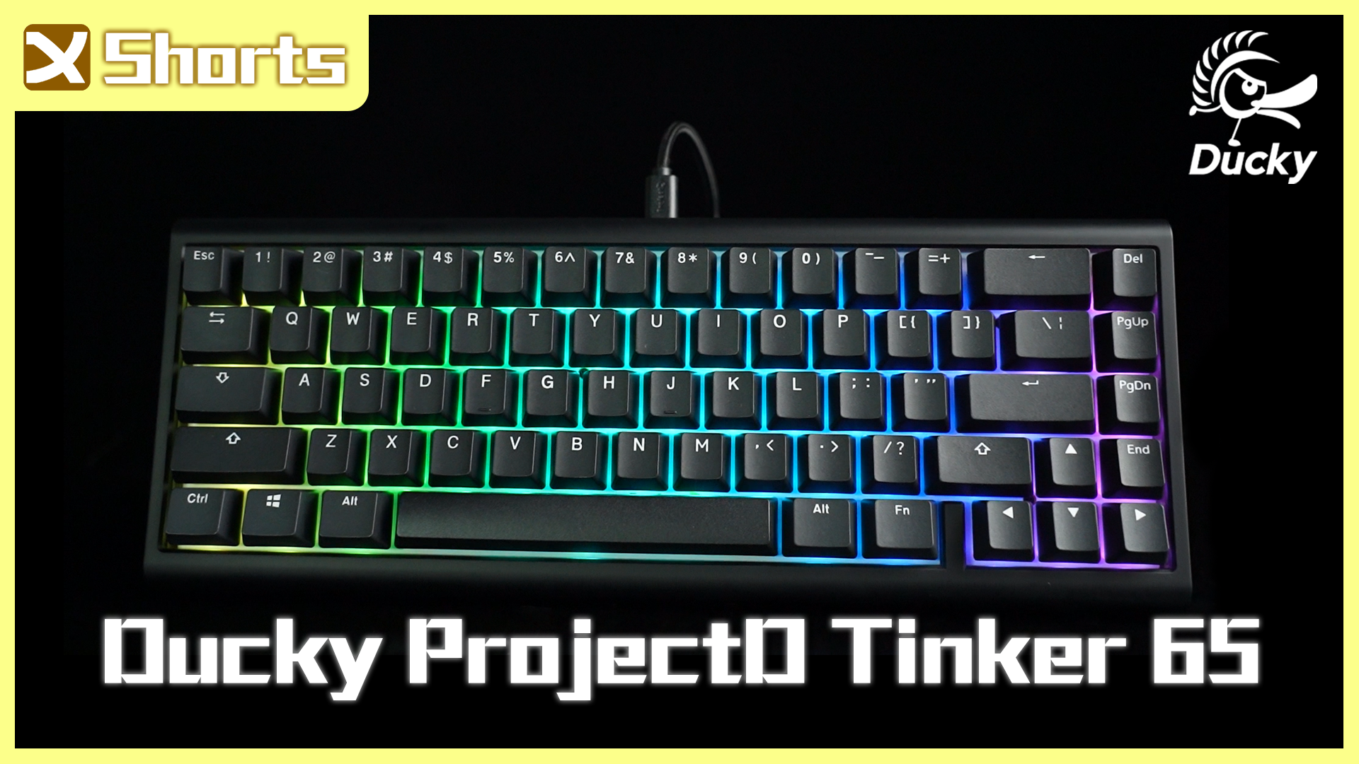 Ducky ProjectD Tinker 65 黑色鍵盤 l 怎麼可能打起來這麼舒服..? l #short | XFastest News