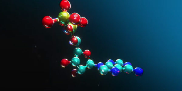 NVIDIA BioNeMo 在 AWS 上實現用於藥物發現的生成式人工智慧 | XFastest News